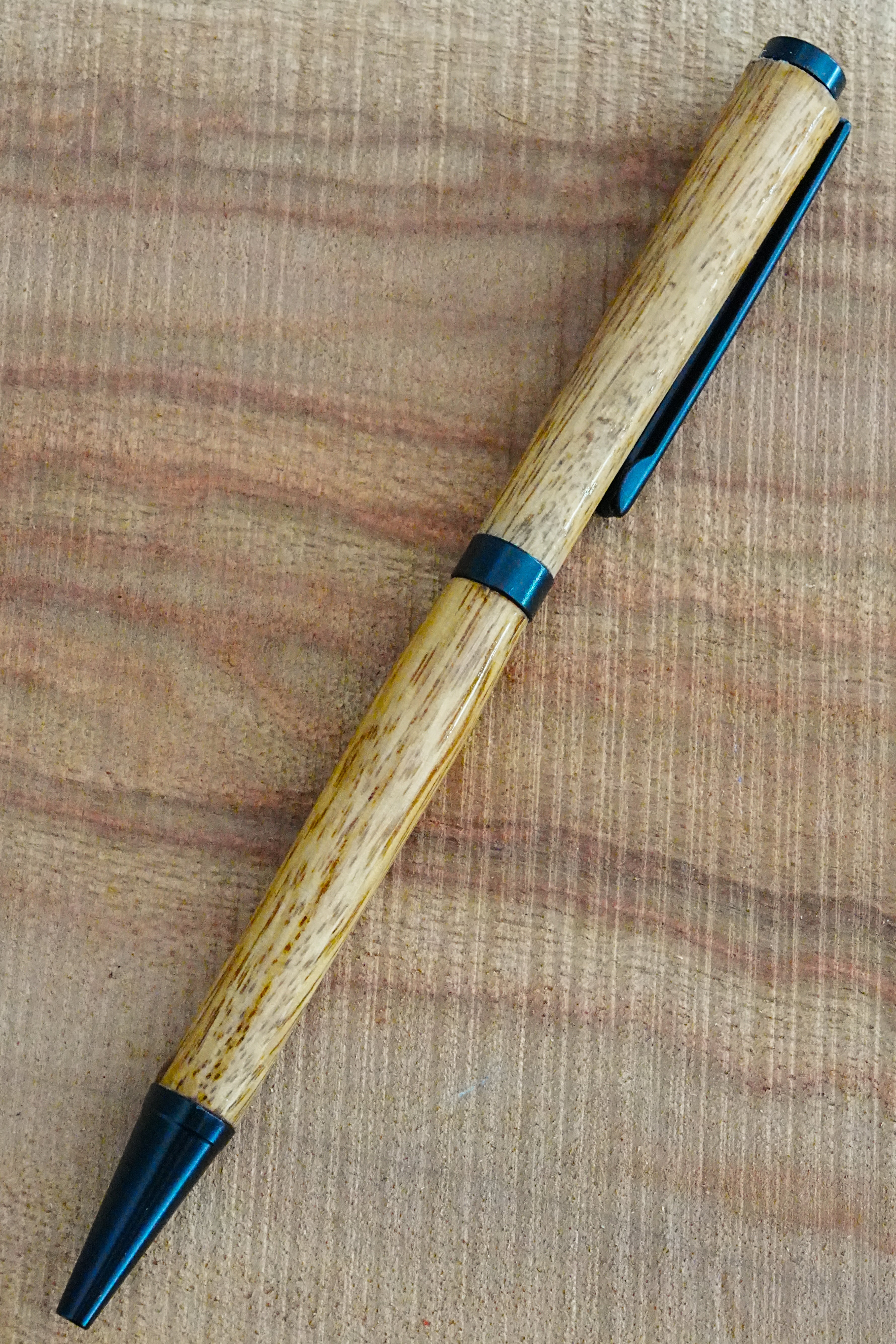 SL11 C8 – Syd and Manni Pens
